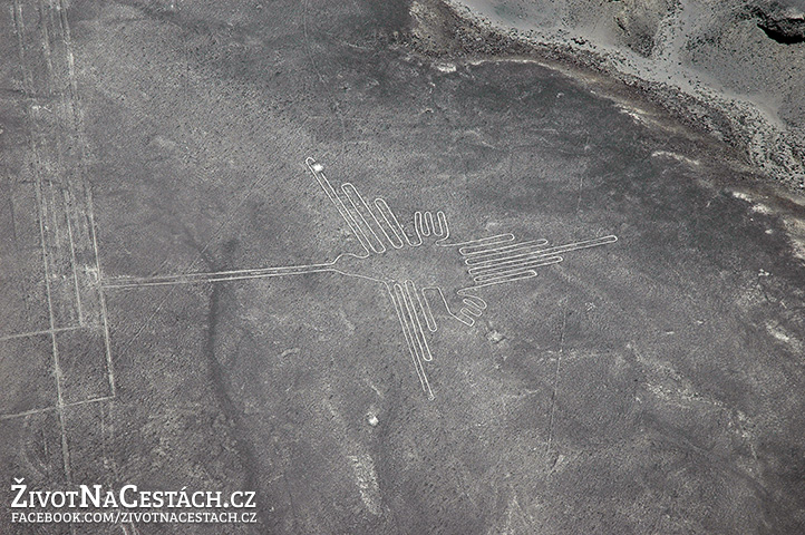 Nazca Lines - záhadné obrazce v poušti, Peru - Život na cestách