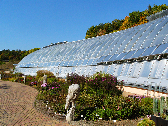 Botanická zahrada Praha, Česká republika - Život na cestách