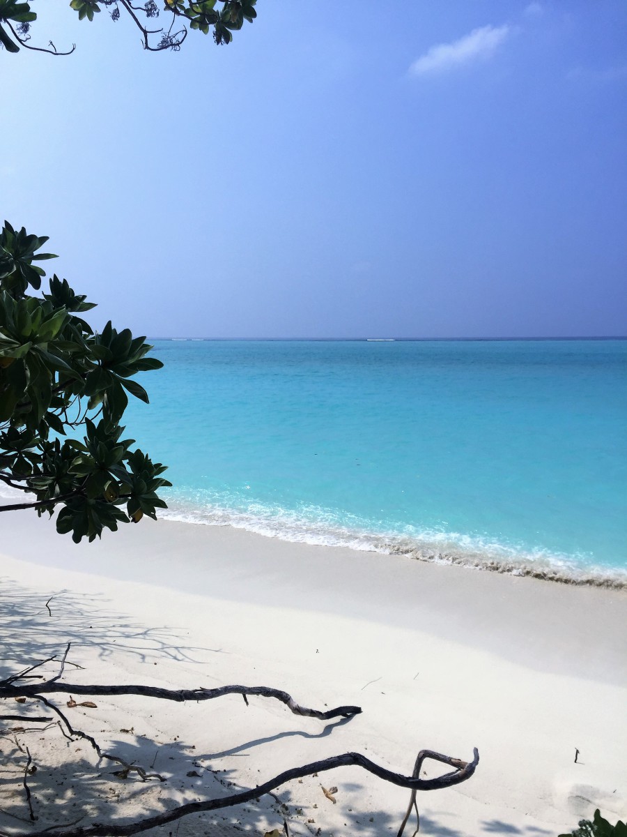 Ostrov Thoddoo na Maledivách – skutečný ráj potápěčů - Život na cestách