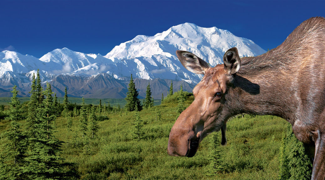 Martin Loew - Život na cestách
